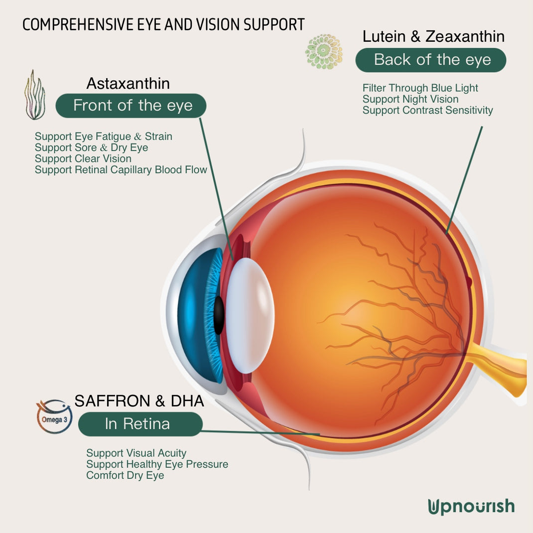 Upnourish Areds 2 Plus Vision & Eye Health Formula - AREDS2 Based ...